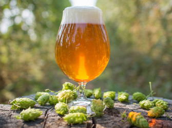 Cerveja IPA: tudo o que você precisa saber sobre elas